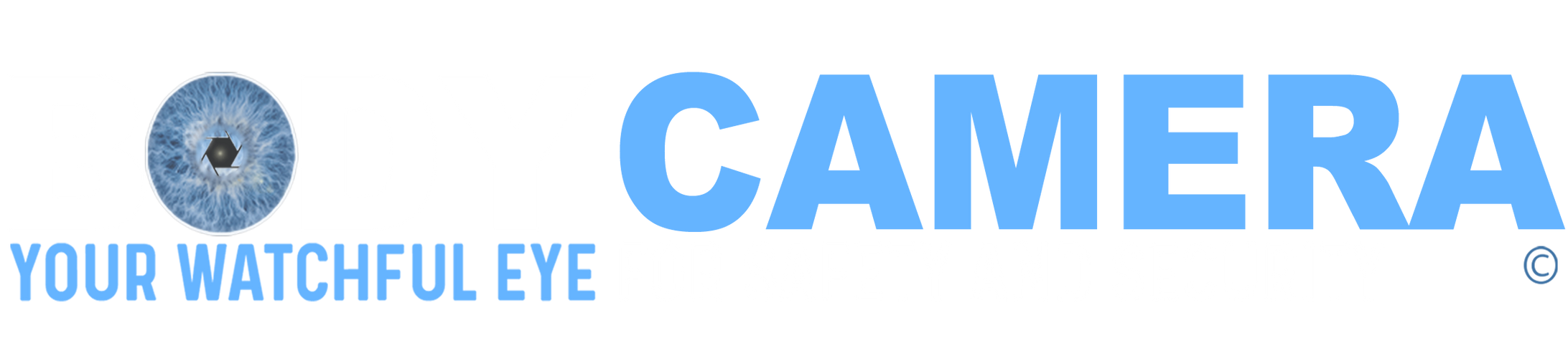 Guidelines for Police use of Body Worn Recording | Body Camera ...